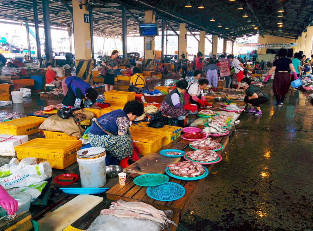 Things To Do In Busan In Winter | Guide To Winter In Busan, Korea