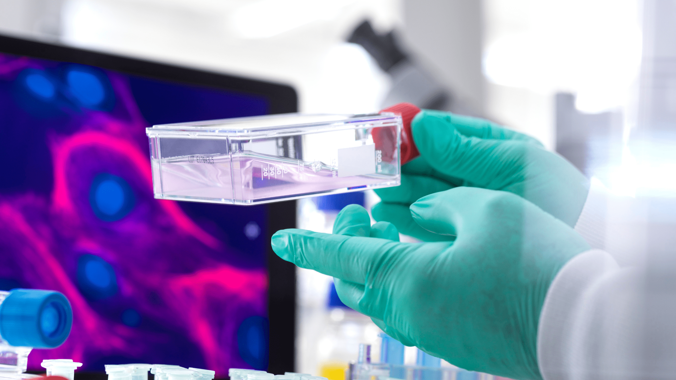 Stem Cell Therapy in Korea | Procedure Types, Costs, Best Clinics ...