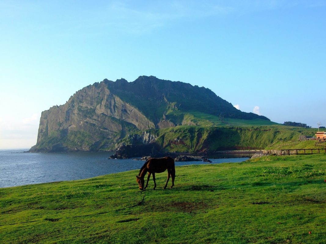 Where To Stay In Jeju Island | Accommodation Reviews